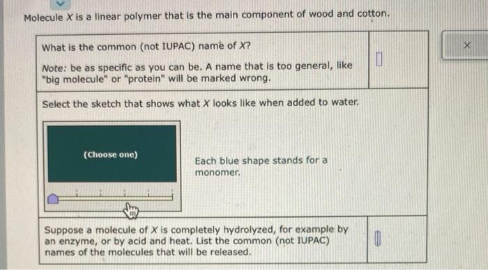 Solved Molecule X is a linear polymer that is the main | Chegg.com
