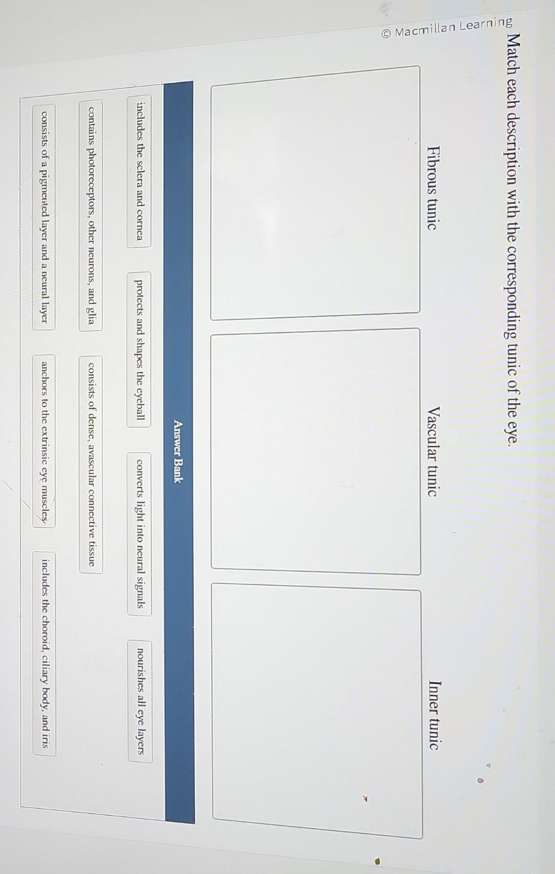 Solved Match each description with the corresponding tunic | Chegg.com