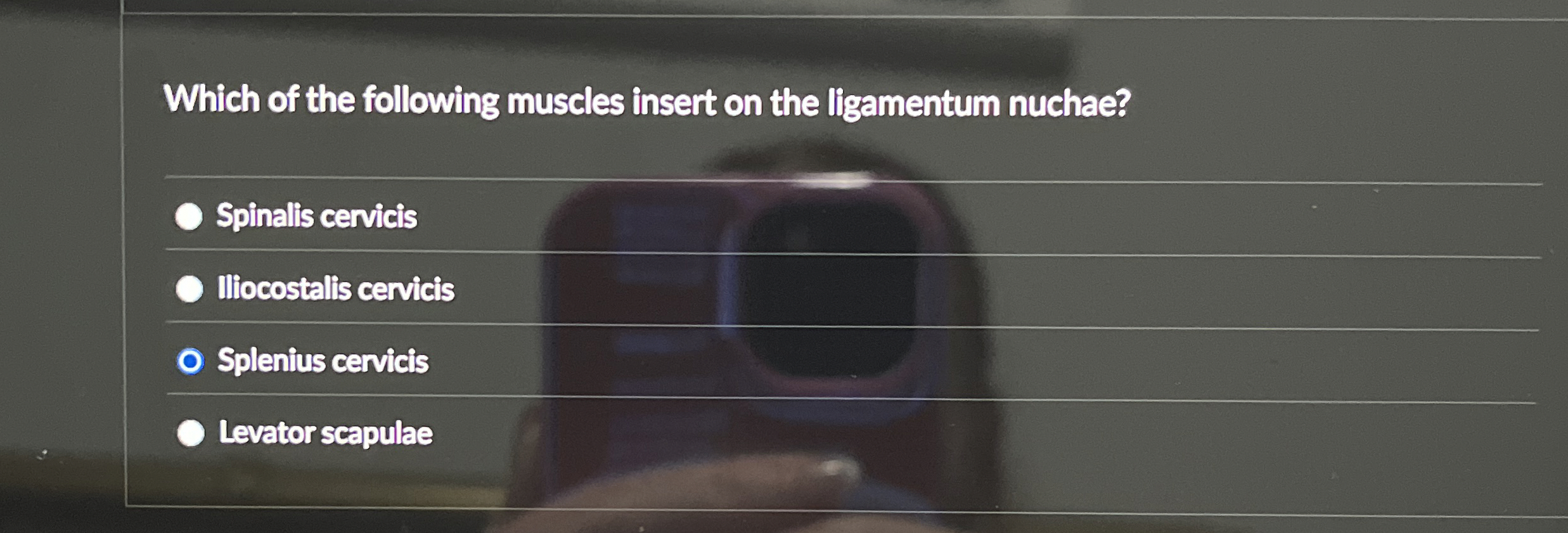Solved Which of the following muscles insert on the | Chegg.com