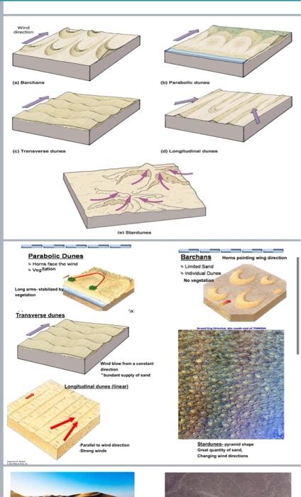 Solved Sand Dunes: Wind deposition See the next slides and | Chegg.com