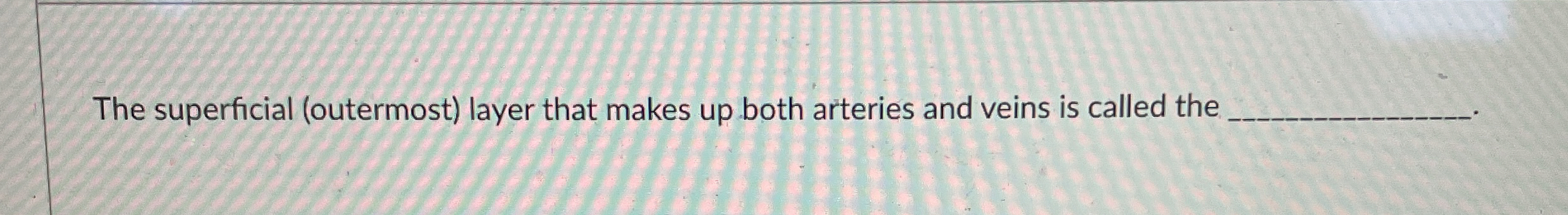 Solved The superficial (outermost) ﻿layer that makes up both | Chegg.com