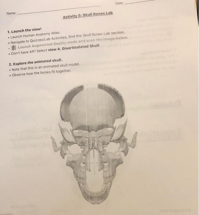 Solved Date: Name: Activity 5: Skull Bones Lab 1. Launch | Chegg.com
