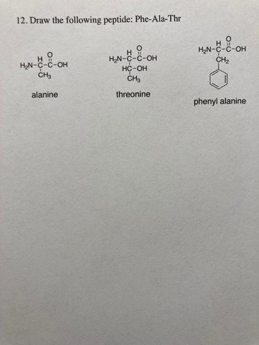 Solved 12. Draw the following peptide: Phe-Ala-Thr ни 1 ни | Chegg.com