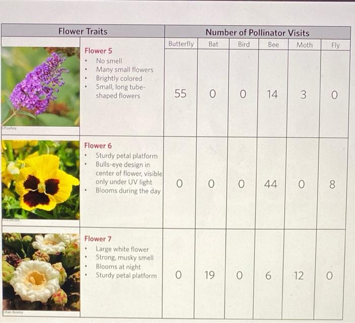 Solved TES Flower Traits Number of Pollinator Visits Bat | Chegg.com