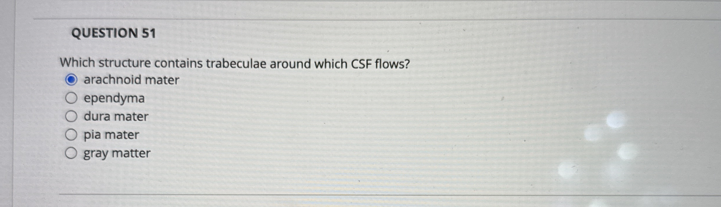 Solved QUESTION 51Which structure contains trabeculae around | Chegg.com