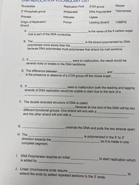 Solved Nucleotide 5' Phosphate group Primase Origin of | Chegg.com