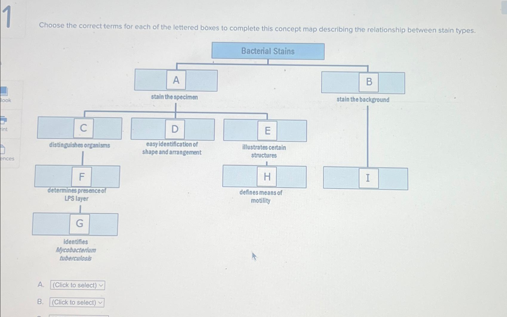 Solved 1Choose the correct terms for each of the lettered | Chegg.com