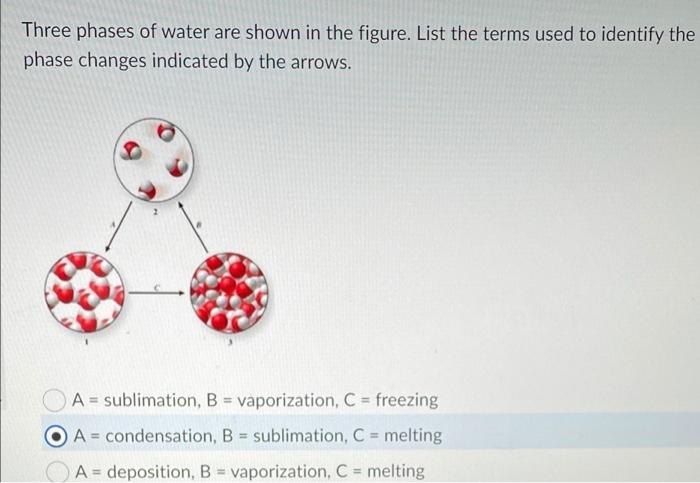 Solved Three phases of water are shown in the figure. List | Chegg.com