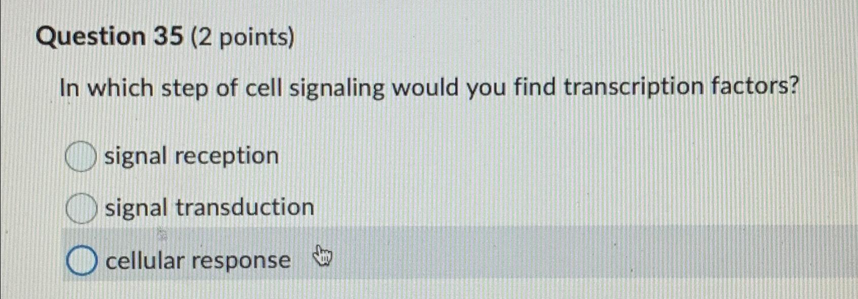 Solved Question 35 ( 2 ﻿points)In which step of cell | Chegg.com