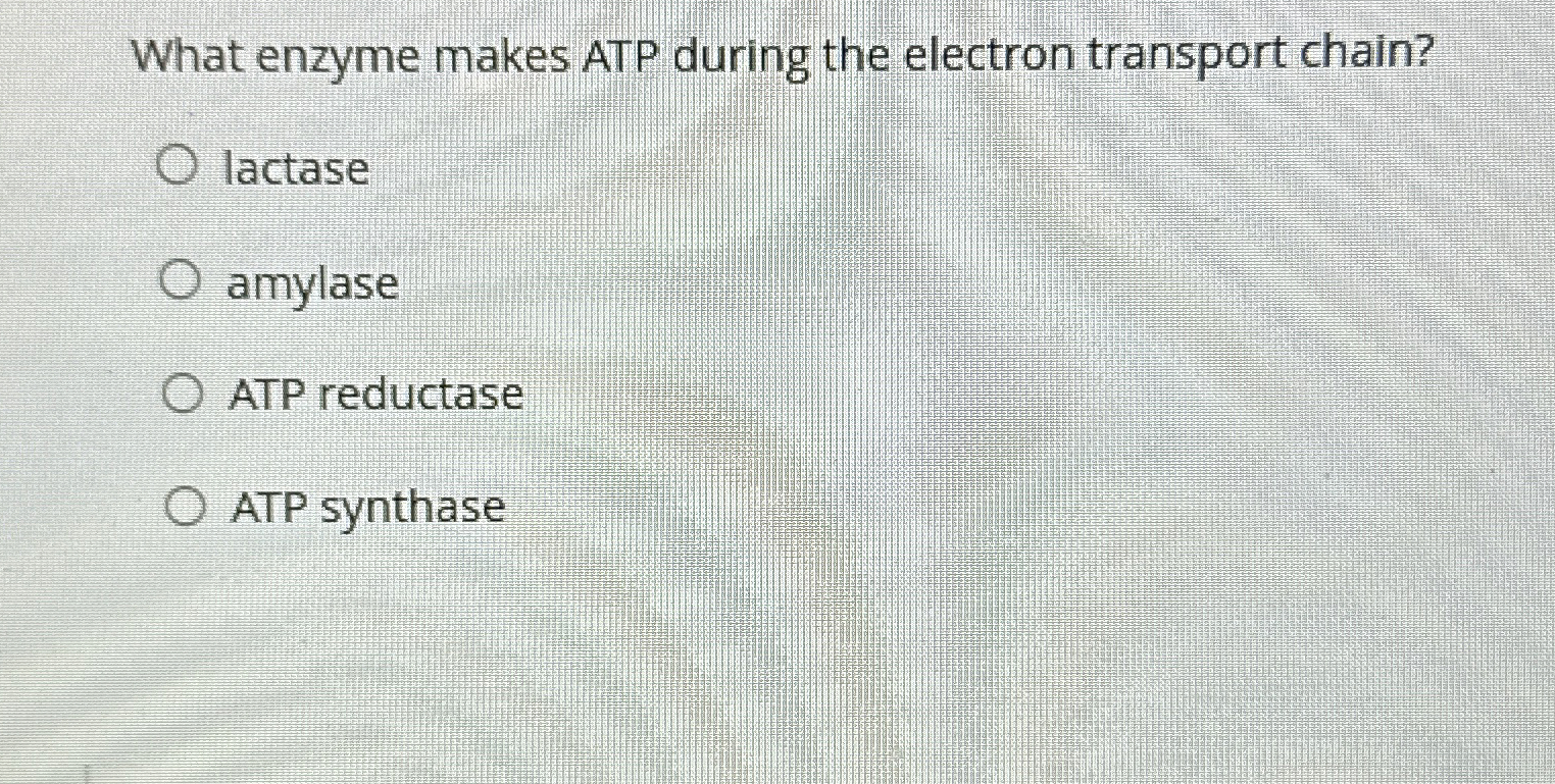 Solved What enzyme makes ATP during the electron transport | Chegg.com