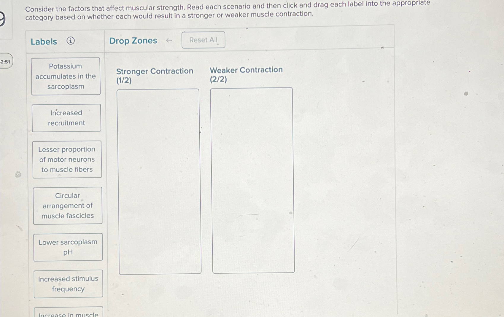 Solved Consider the factors that affect muscular strength. | Chegg.com