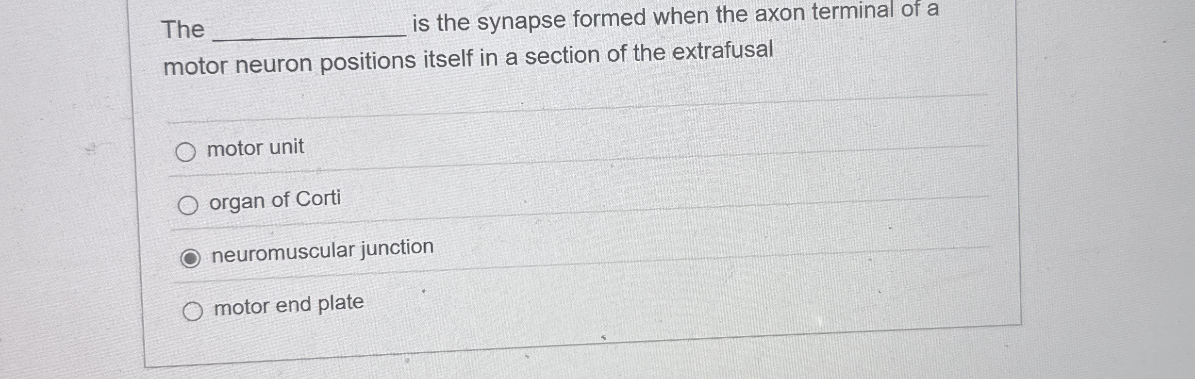 Solved The is the synapse formed when the axon terminal of a | Chegg.com