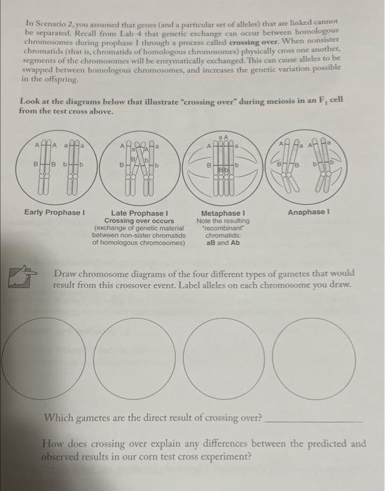 Solved In Scenario 2, you assumed that genesk (and a | Chegg.com