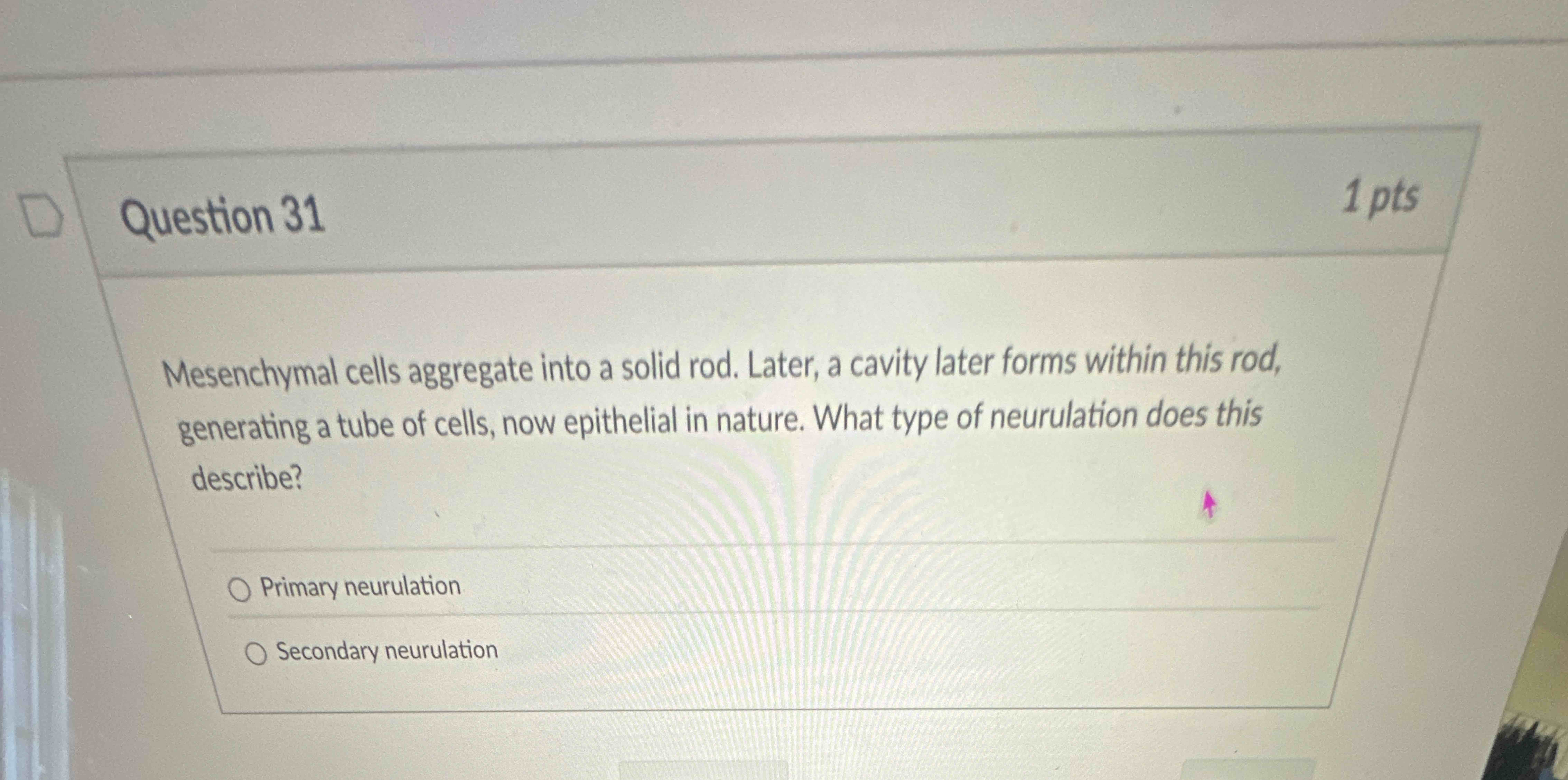 Solved Question 31Mesenchymal cells aggregate into a solid | Chegg.com