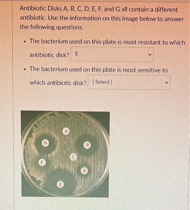 Solved Antibiotic Disks A, B, C, D, E, F, and G all contain | Chegg.com