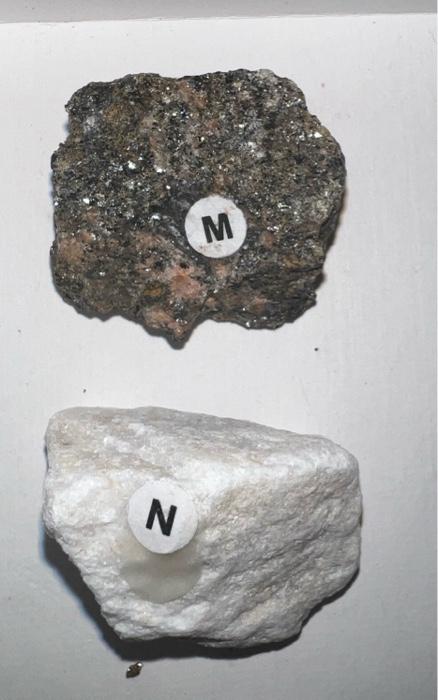 Solved 2000( )1. A possible protolith for Sample M is: a. | Chegg.com