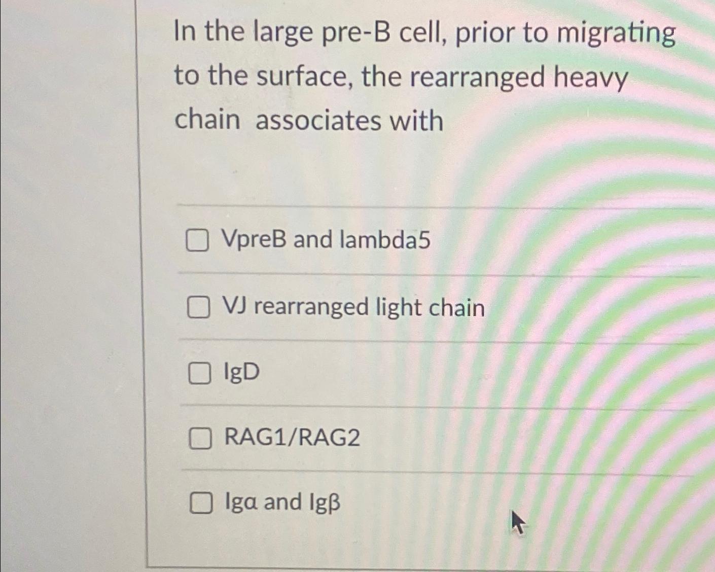 Solved In the large pre-B cell, prior to migrating to the | Chegg.com