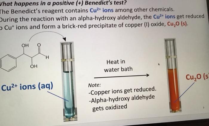 Solved Please write clearly. I added page 4 lab to helpwith | Chegg.com