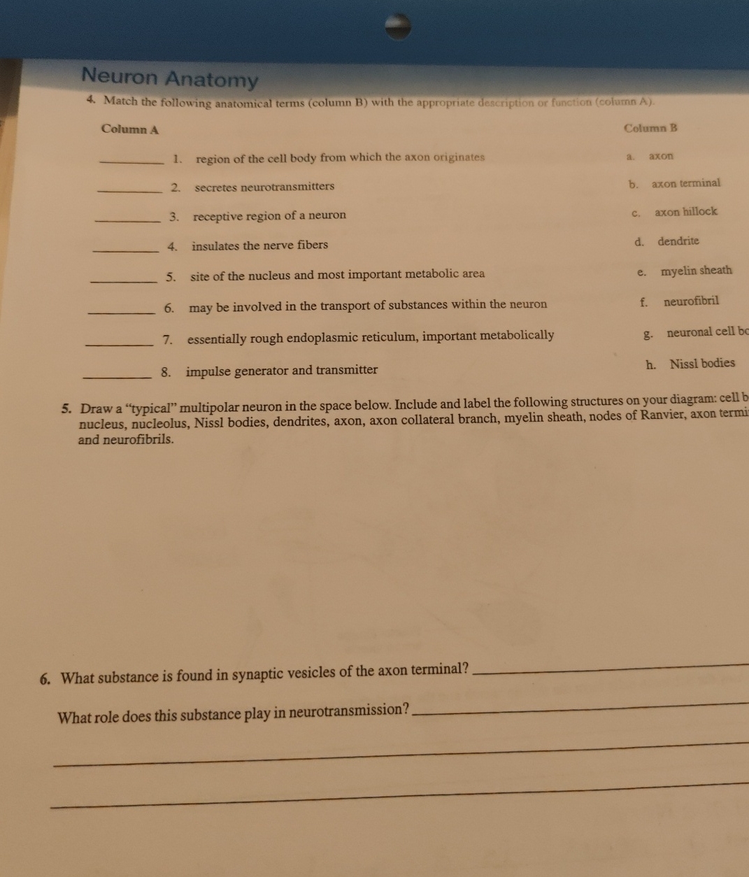 Solved Neuron Anatomy4. ﻿Match the following anatomical | Chegg.com