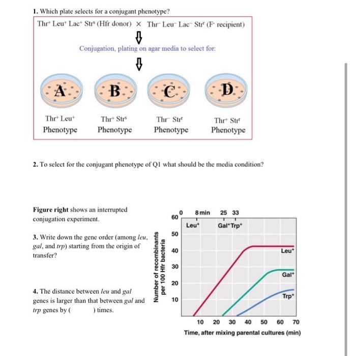 Solved 2. To select for the conjugant phenotype of Q1 what | Chegg.com