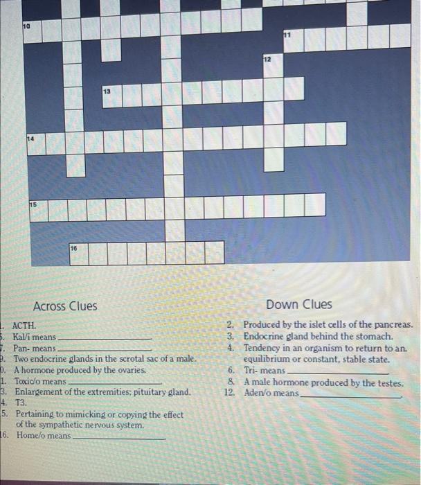 Solved Across Clues Down Clues ACTH. 2. Produced by the | Chegg.com