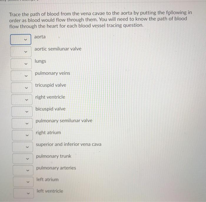 Solved Trace the path of blood from the vena cavae to the | Chegg.com