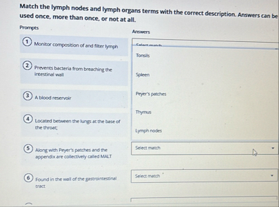 Solved Match the lymph nodes and lymph organs terms with the | Chegg.com