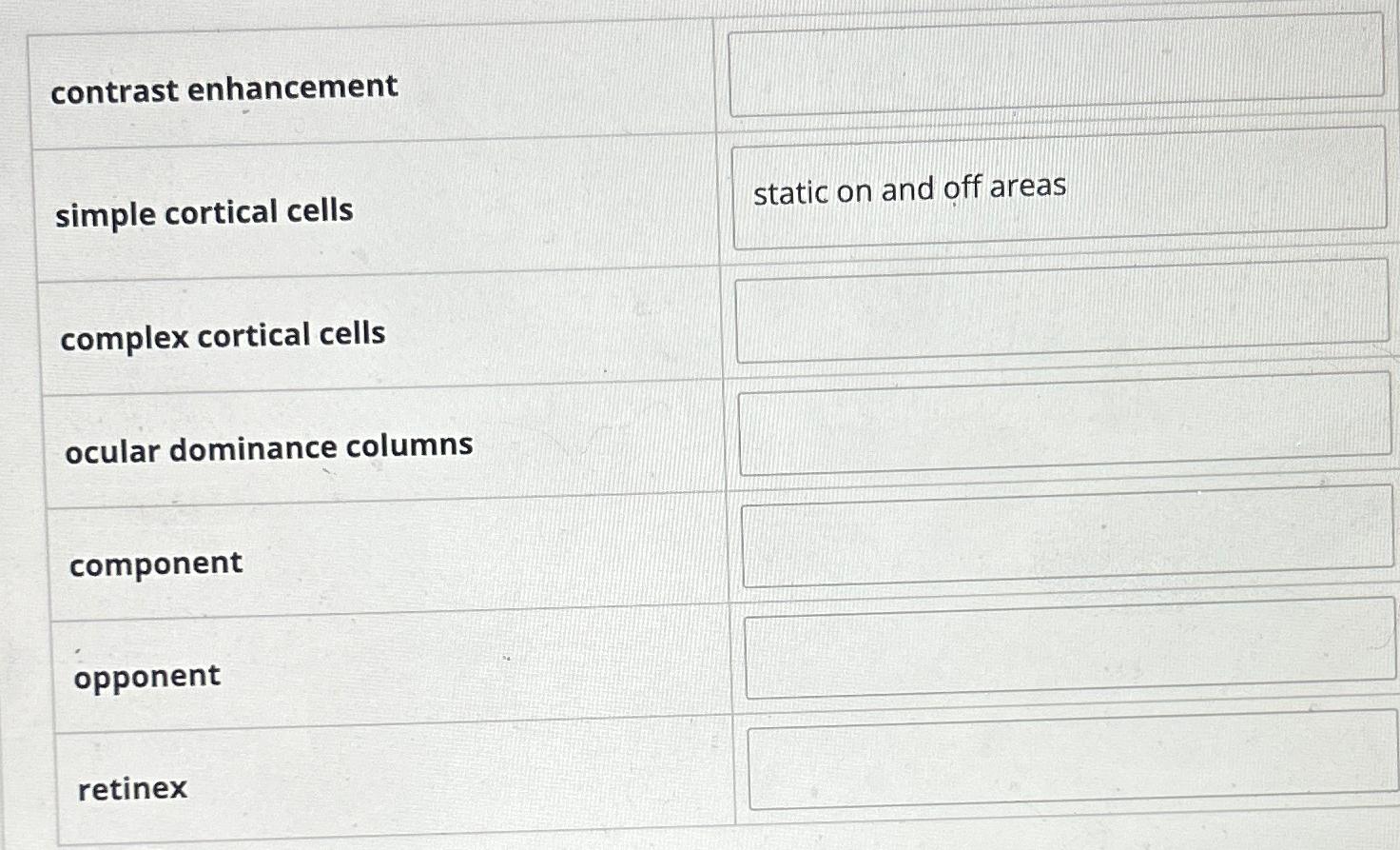 Solved contrast enhancementsimple cortical cellscomplex | Chegg.com