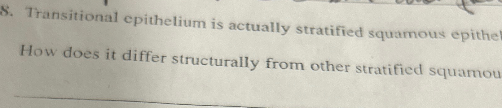 Solved S. ﻿Transitional epithelium is actually stratified | Chegg.com