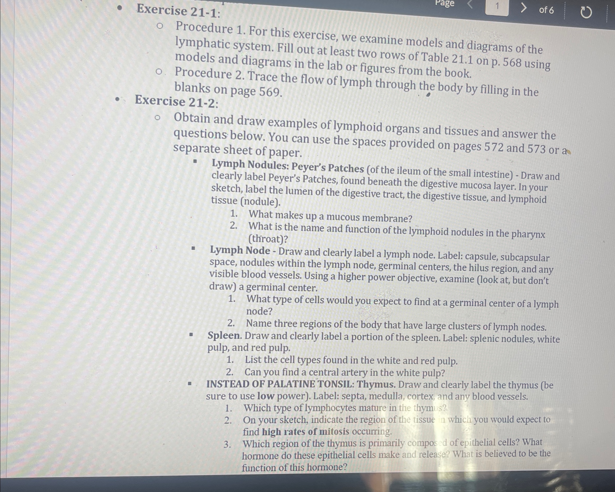 Solved Exercise 21-1:Procedure 1. ﻿For this exercise, we | Chegg.com