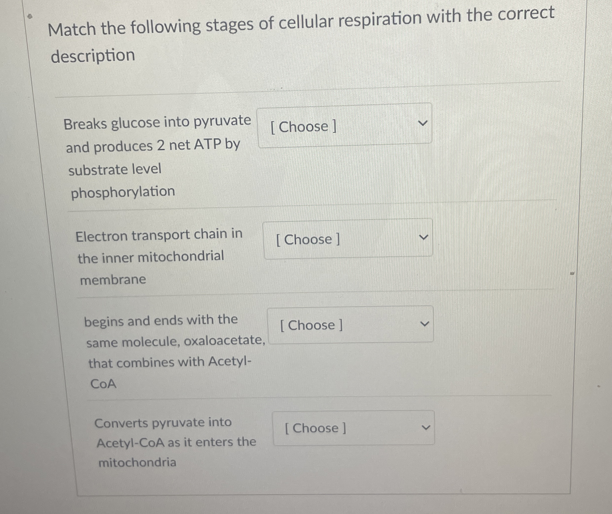 Solved Match the following stages of cellular respiration | Chegg.com