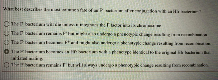 Solved What best describes the most common fate of an F | Chegg.com