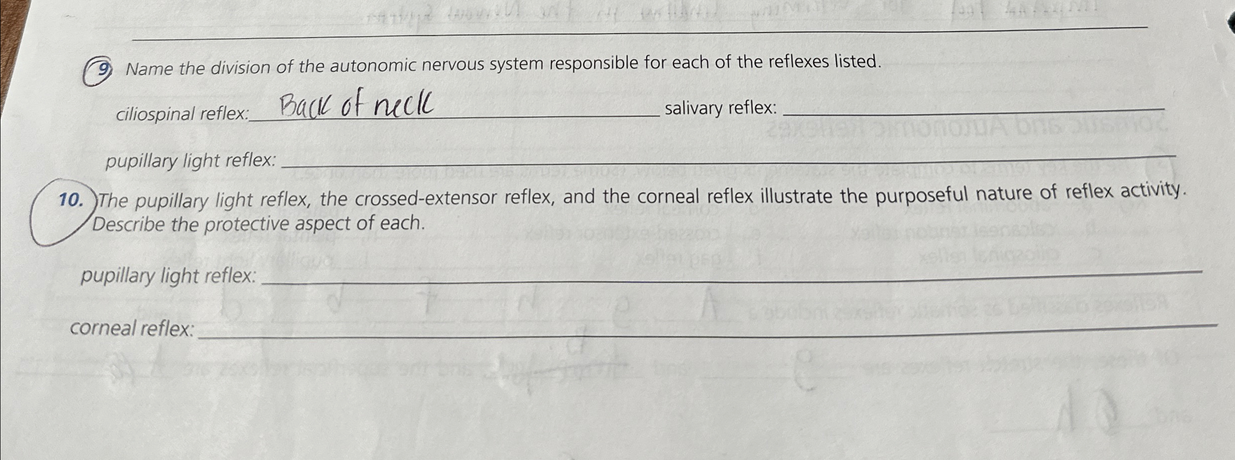 Solved Name the division of the autonomic nervous system | Chegg.com