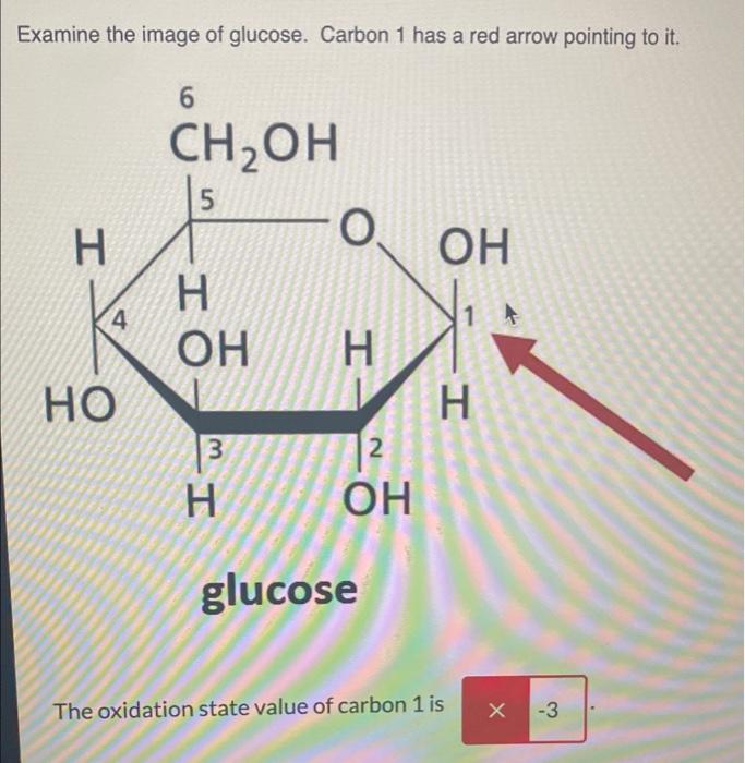 Solved Examine The Image Of Glucose Carbon 1 Has A Red