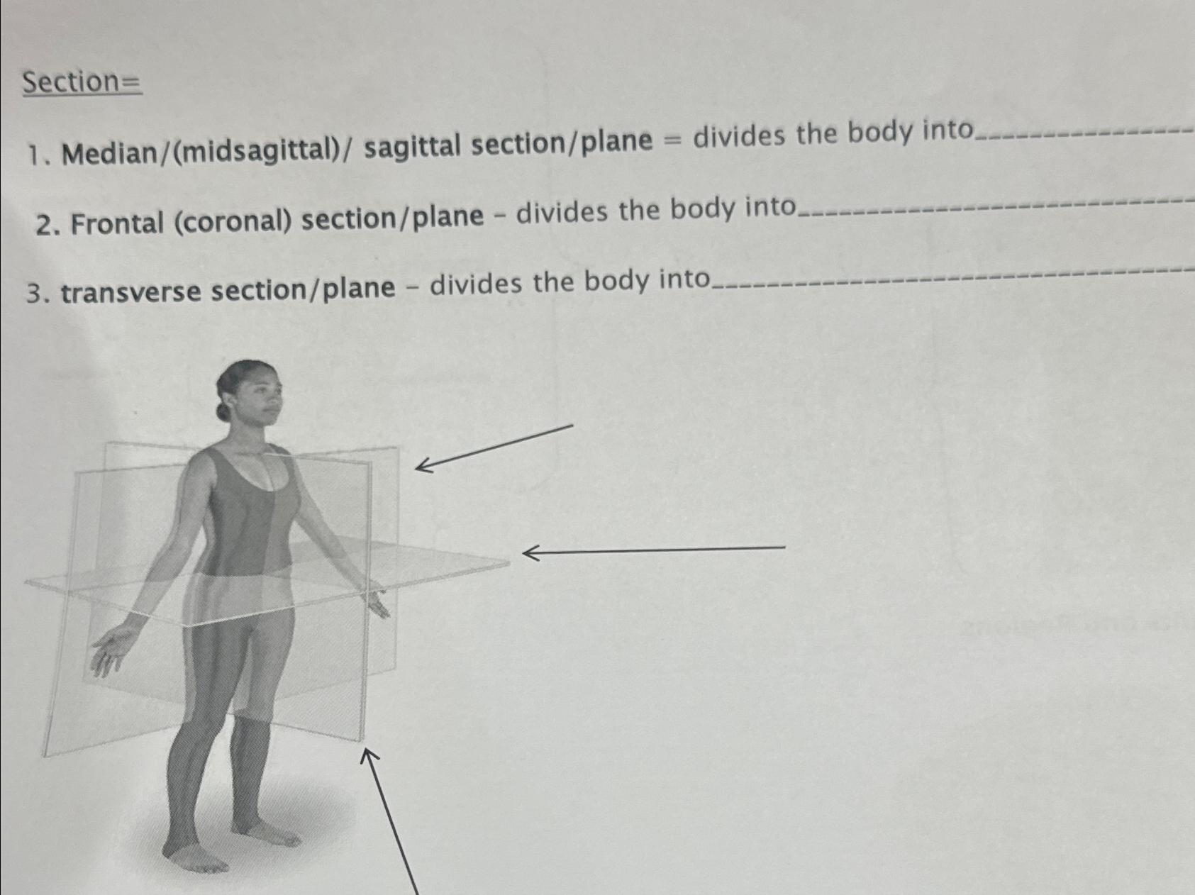 Solved Section =Median/(midsagittal)/ ﻿sagittal | Chegg.com