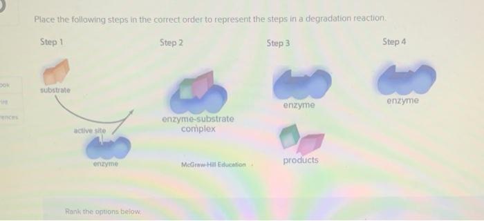 Solved Place the following steps in the correct order to | Chegg.com