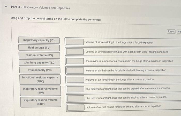 Solved Part B-Respiratory Volumes and Capacities Drag and | Chegg.com