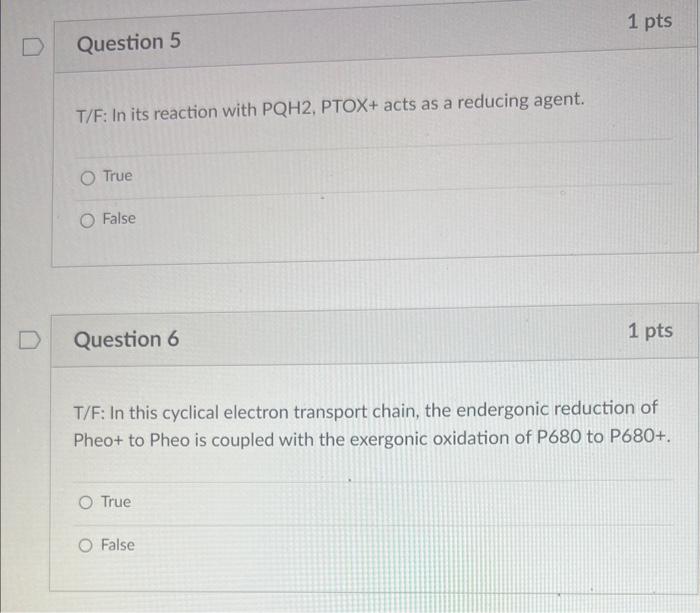 Solved PTOX allows some photosynthesis to continue under | Chegg.com