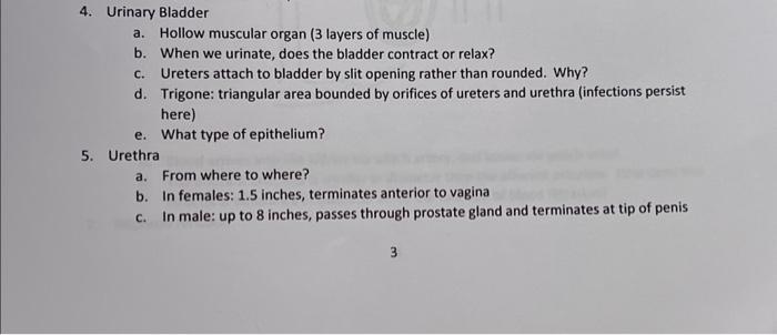 Solved 4. Urinary Bladder a. Hollow muscular organ (3 layers | Chegg.com
