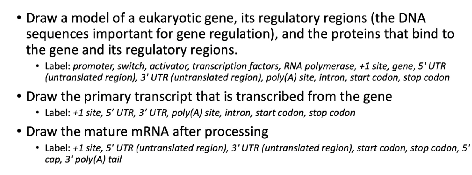 Solved Draw a model of a eukaryotic gene, its regulatory | Chegg.com