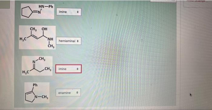 hemiaminal * | Chegg.com