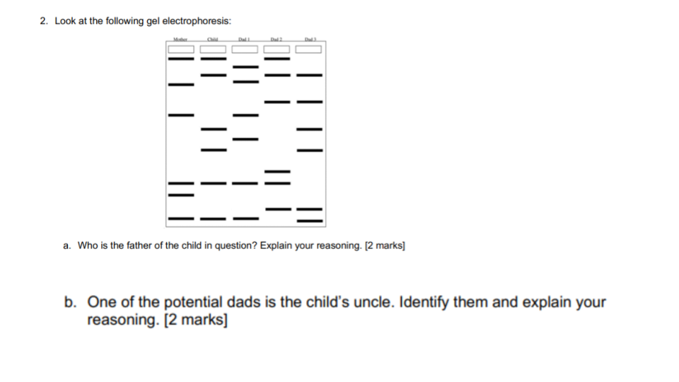 Solved b. ﻿One of the potential dads is the child's uncle. | Chegg.com