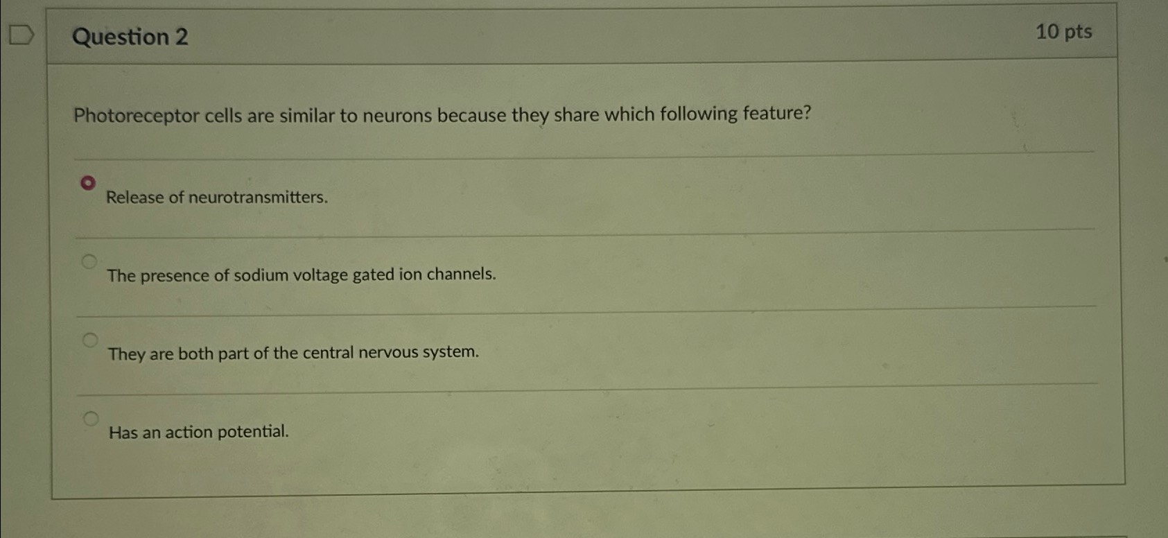 Solved Question 210 ﻿ptsPhotoreceptor cells are similar to | Chegg.com