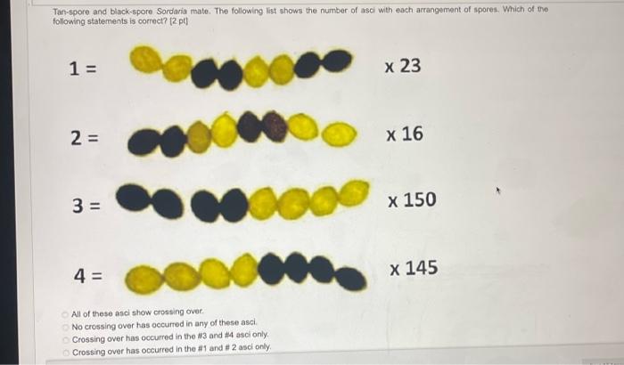 Tan-spore and black-spore Sordaria mate. The | Chegg.com