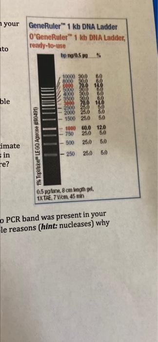 Using the GeneRuler 1kB DNA ladder, a. Analysis of | Chegg.com