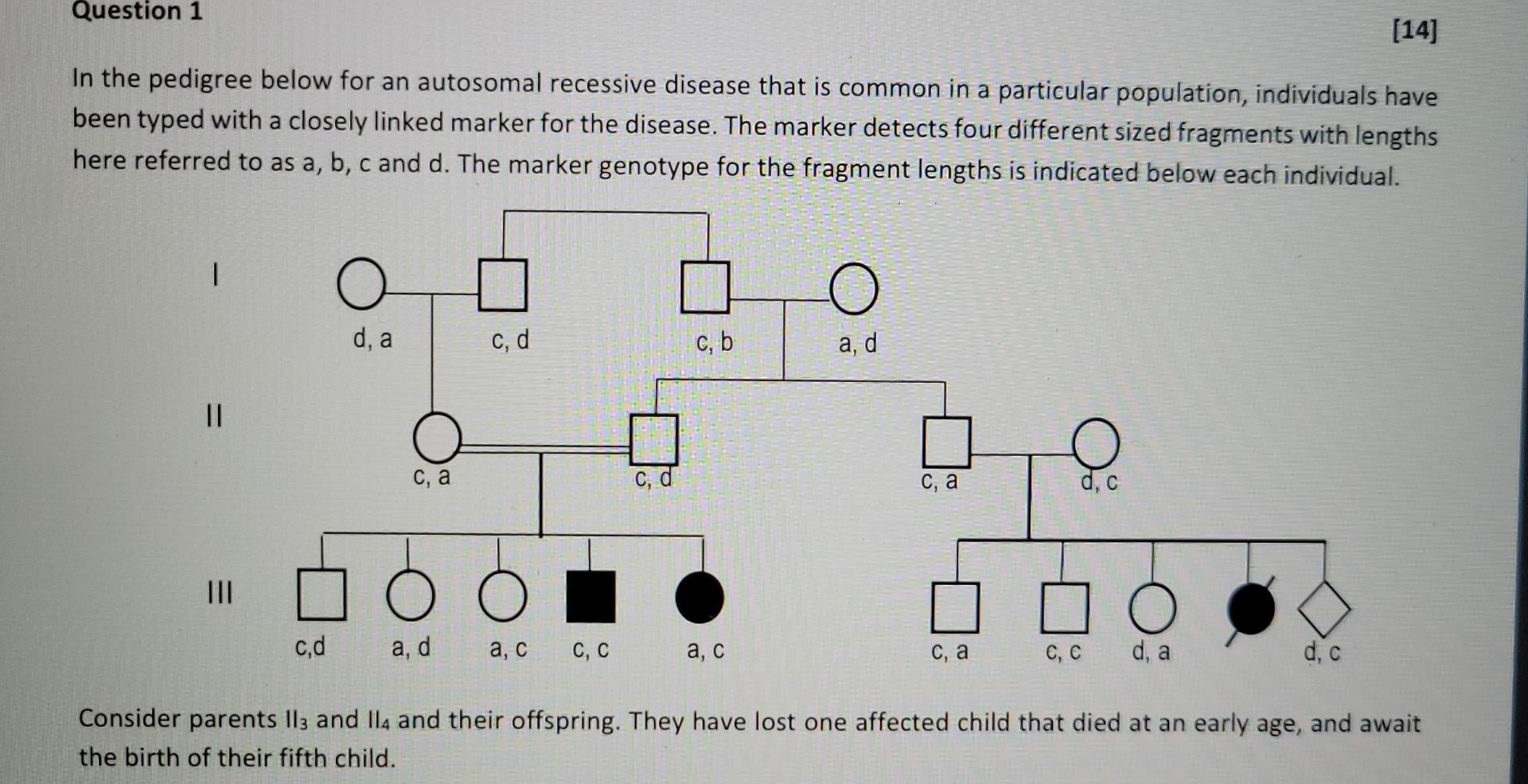 Solved In the pedigree below for an autosomal recessive | Chegg.com