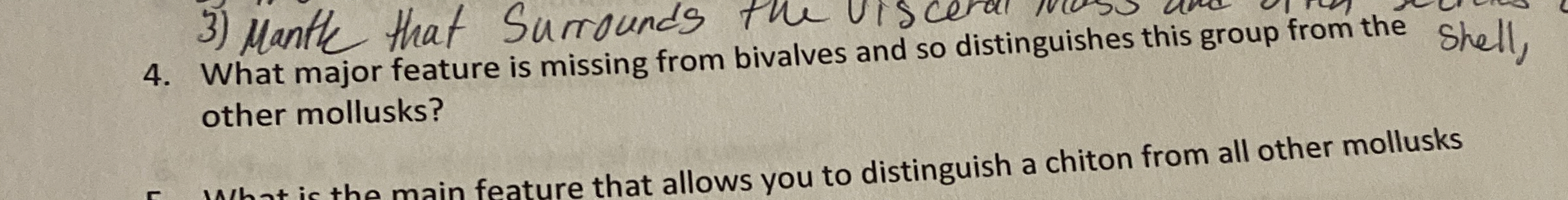 Solved What major feature is missing from bivalves and so | Chegg.com