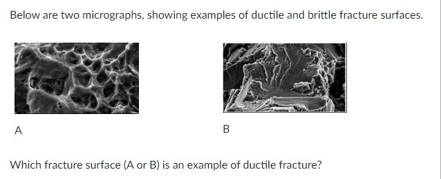 Solved Below are two micrographs, showing examples of | Chegg.com