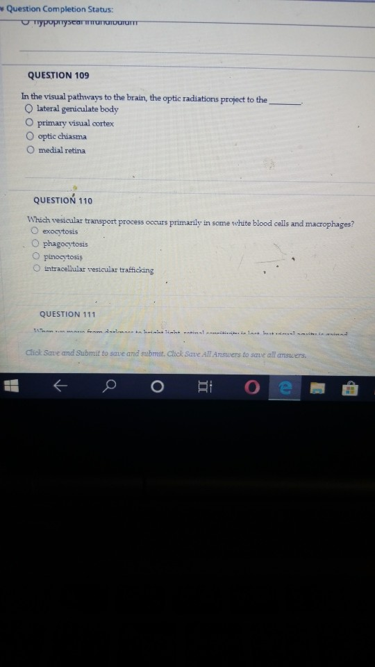 Solved estion Completion Status: QUESTION 113 The layer of | Chegg.com Solved estion Completion Status: QUESTION 113 The layer of | Chegg.com