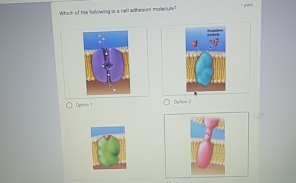 Solved Which of the following is a cell adhesion molecule?1 | Chegg.com